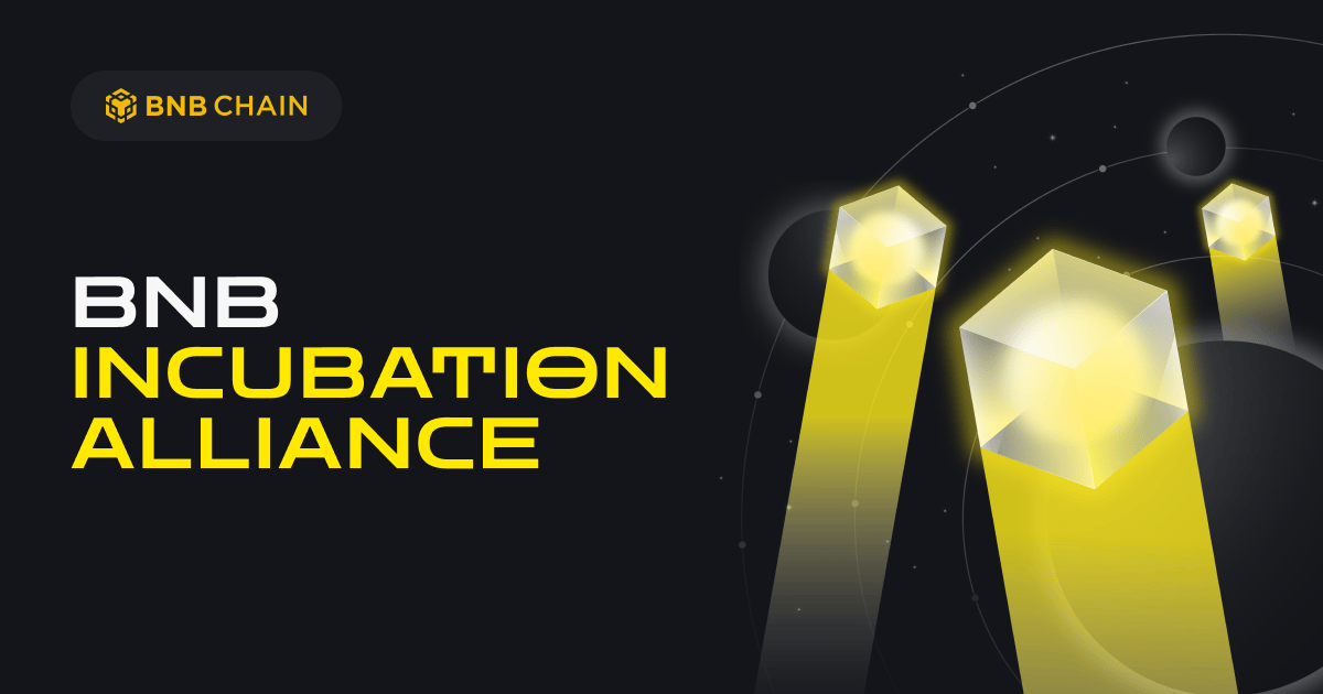 BNB Incubation Alliance - BNB Chain